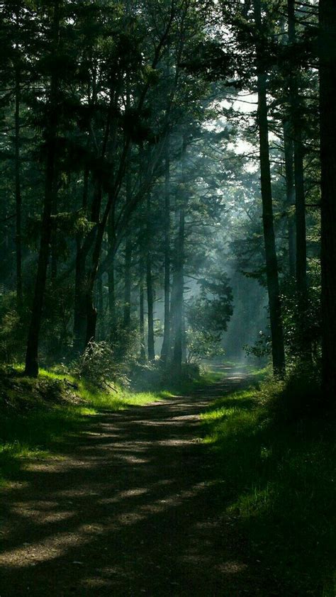 Entre Mundos Hiro Hamada X Tú C A P 21 Wattpad