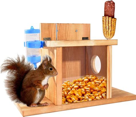 9 Best Squirrel Feeders Cute And Ready To Buy Squirrel University