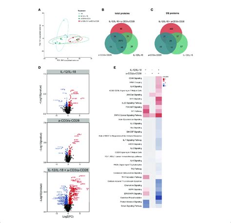 Proteomic Profiling Of Mait Cell Activation A Principle Component