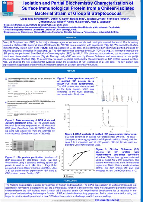 Pdf Isolation And Partial Biochemistry Characterization Of Surface