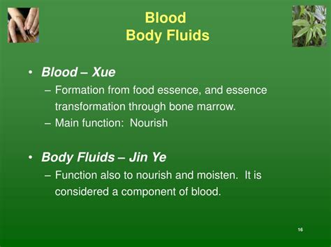 Ppt A Bit More Background To To Traditional Chinese Medicine