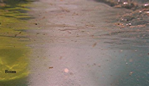 Image Of Submerged Dispersed Oil In The Coal Oil Point Seep Field