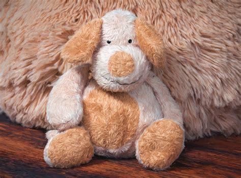 Soft Toy On The Floor In The House Free Image Download