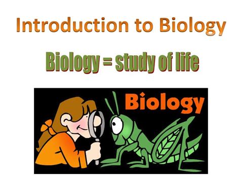 Ppt Introduction To Biology Powerpoint Presentation Free Download