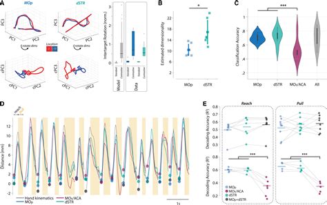 Conjoint Specification Of Action By Neocortex And Striatum Neuron