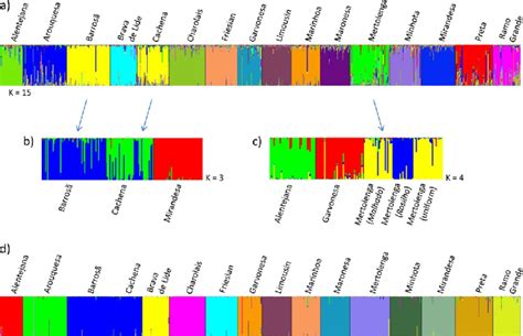 Results Of The Bayesian Cluster Analysis With Structure A Graphical