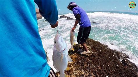 Como Pescar Corvina Grande Pesca De Corvinas Youtube