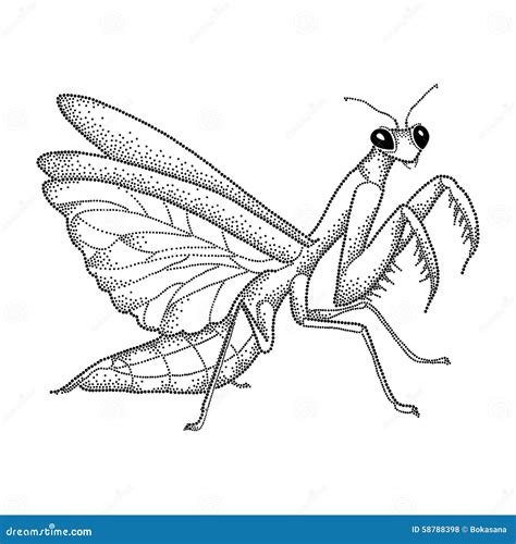Praying Mantis Clipart Black And White