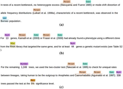 Named Entity Recognition Examples Download Scientific Diagram