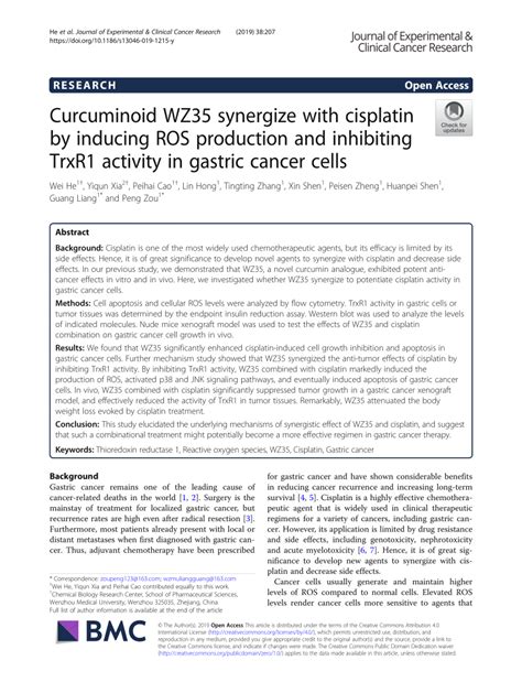 Pdf Curcuminoid Wz35 Synergize With Cisplatin By Inducing Ros