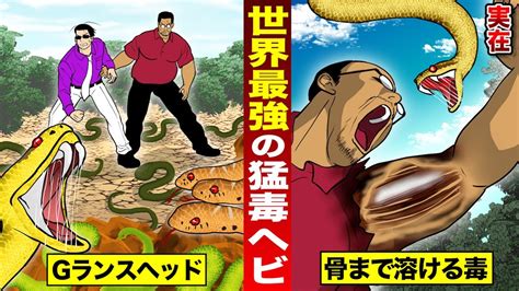 【実在】世界最強の猛毒ヘビ…gランスヘッド。骨まで溶かす。 Youtube