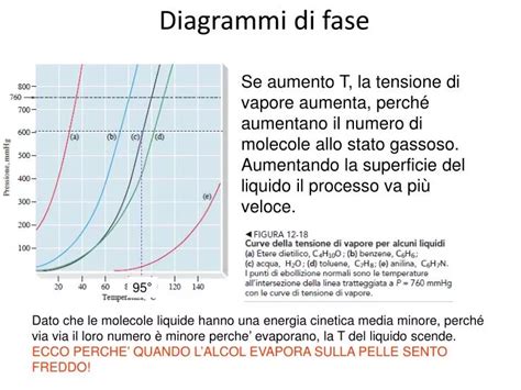 Ppt Diagrammi Di Fase Powerpoint Presentation Id4608175
