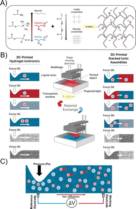 Chemistry And Fast Bottom‐up Fabrication Of Polyelectrolyte Hydrogels Download Scientific