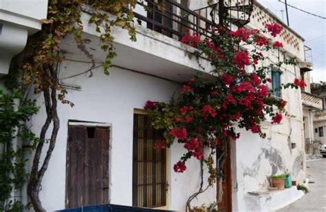 Kritsa Crete Complete Guide By A Local The Tiny Book