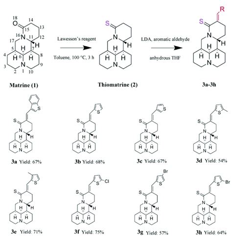 Scheme 1 Synthetic Routine Of 8 Derivatives Download Scientific Diagram