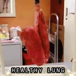 Lungs Gifs Get The Best On Giphy