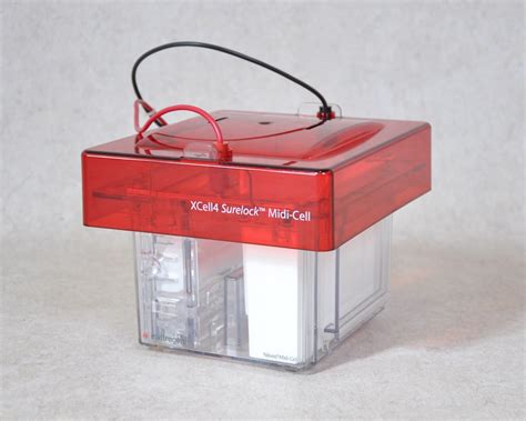 Xcell4 Surelock Midi Cell Electrophoresis Gemini Bv