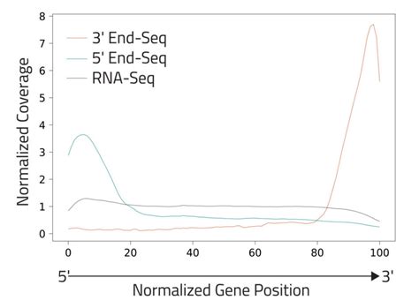 Rna Genomics • Nucleus Biotech