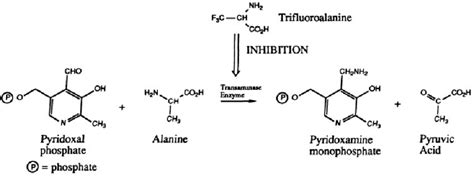 Irreversible Inhibition Of The Enzyme Alanine Transaminase Download