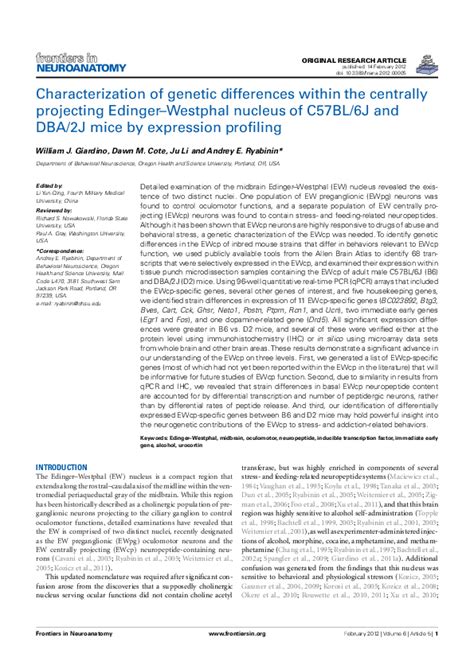 Pdf The Neocortical Column Javier Defelipe