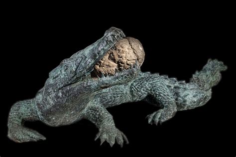 Un Enorme Coccodrillo Al Maschio Angioino è La Scultura Di Francesco