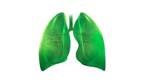 Keytruda Pembrolizumab Perioperativ Behandling Vid Icke Småcellig