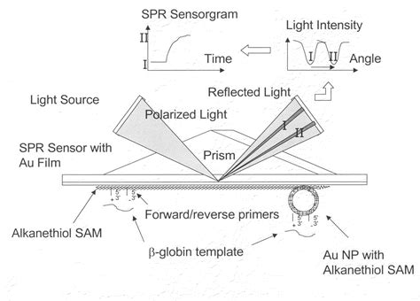 Surface Plasmon Resonance Patented Technology Retrieval Search Results