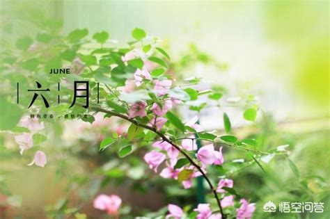 农村俗语“有福之人六月生，无福之人六月死”是什么意思？