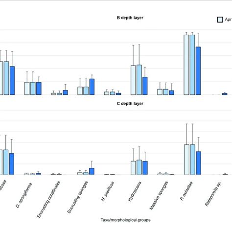 Structure Of The Assemblage At The End April 2020 One Month After