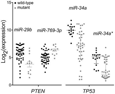 Micrornas And Pten Or Tp53 Mutations In Nci 60 Cell Lines Dot Plots