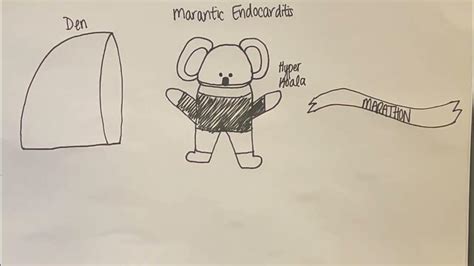 Marantic Endocarditis Youtube