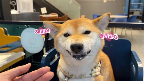 공주님 오늘 동탄 롯데백화점 루키파크 다녀왔습니다 Vlog Youtube