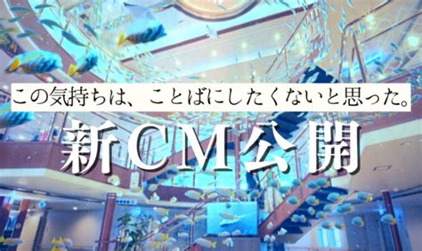Cm