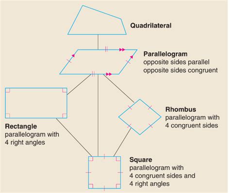 Free Printable Properties Of Squares And Rectangles Flashcards Online Quizizz