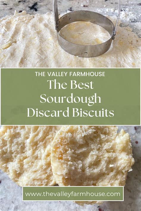 Sourdough Discard Biscuits Artofit