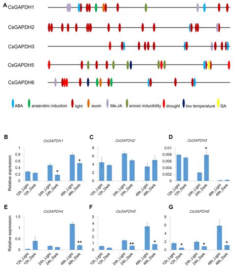 Genome Wide Identification Characterization Interaction Network And