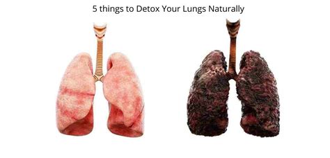 5 Things To Detox Your Lungs Naturally 2021 Biggrow