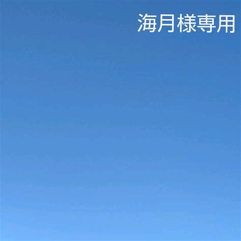 クラゲ様専用