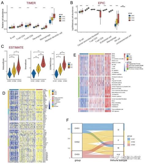 最新1区9 2分sci，铜死亡 乏氧 肿瘤分型 实验验证，肿瘤分型想发高分，可以借鉴这一篇！ 知乎