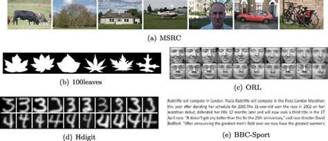 Sample Examples Of Five Benchmark Datasets Download Scientific Diagram