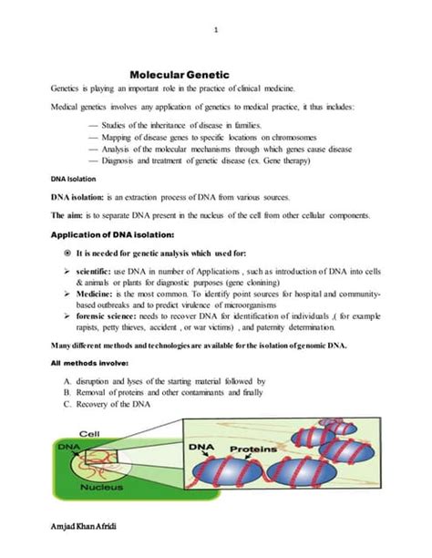Dna Isolation Ppt