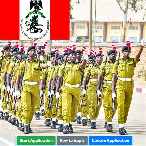 How To Successfully Login To Ndlea Recruitment Portal Ng Login