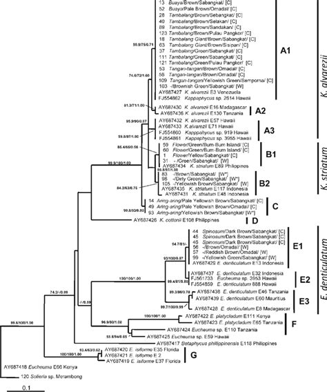 Maximum Likelihood Majority Rule Consensus Tree Based On The