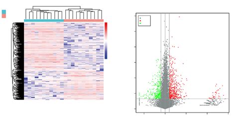 Otscc Degs In Tcga Dataset A Heat Map Hierarchical Clustering Shows Download Scientific