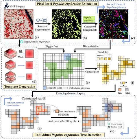 Researchers Propose Novel Method To Detect Individual Populus Euphratica Trees In Sparse Desert