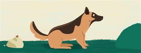 Can You Get A Service Dog For Sleep Paralysis