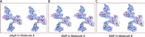Electron Density For Papa And Amp Of 2f O F C Map Contoured At The 1 0