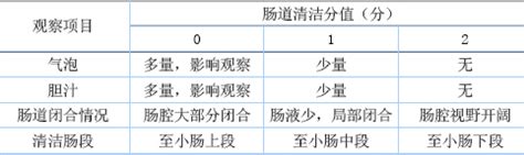 肠道清洁度 肠道准备清洁度 肠道准备清洁度标准图 第2页 大山谷图库
