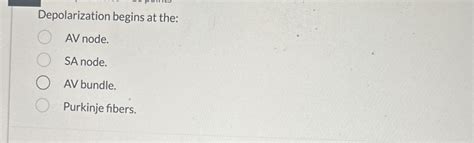 Depolarization Begins At The Av Node Sa Node Av