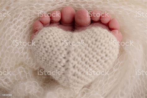 신생아의 작은 발 양털 흰색 담요에 새로 태어난 부드러운 발 신생아의 발가락 발 뒤꿈치 및 발의 근접 촬영 아기의 다리에 니트